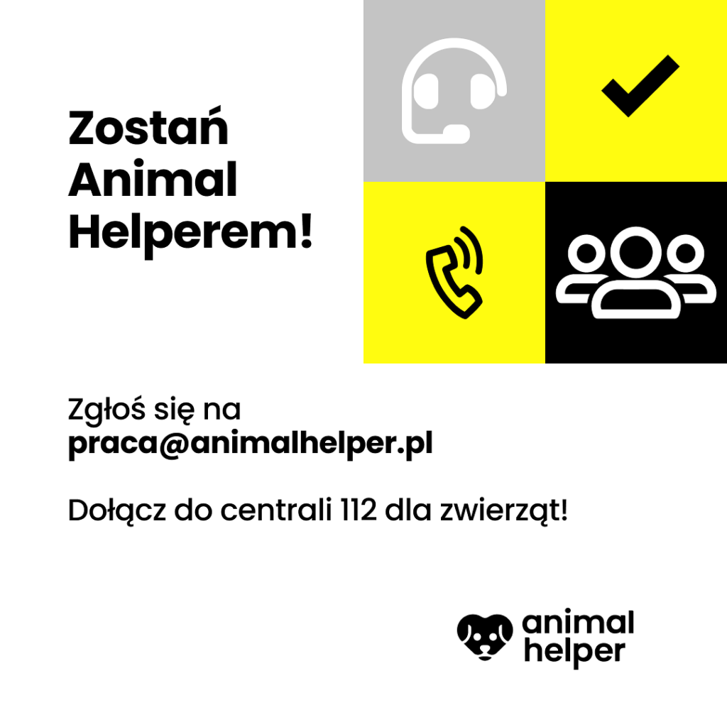 Animal Helper 💛🖤 na pomoc zwierzętom